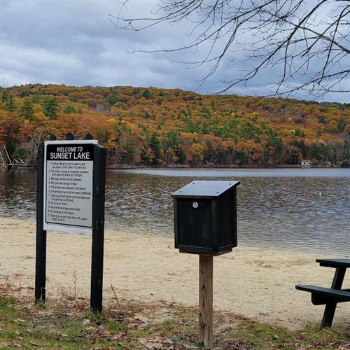 The Serif Fairy: Explorations in the World of Letters | BookCrossing.com