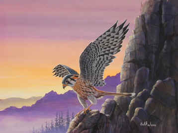 Frightful's Mountain | BookCrossing.com